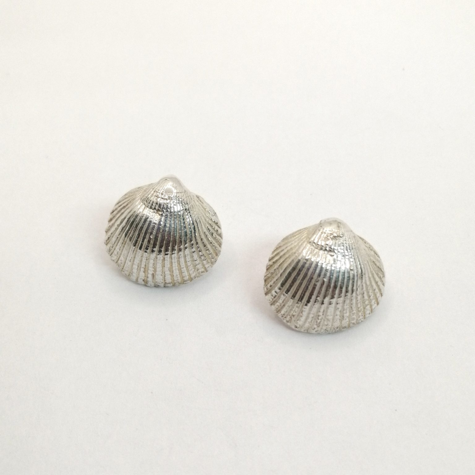 Large Silver Cockle Shell Studs - Castle Collection